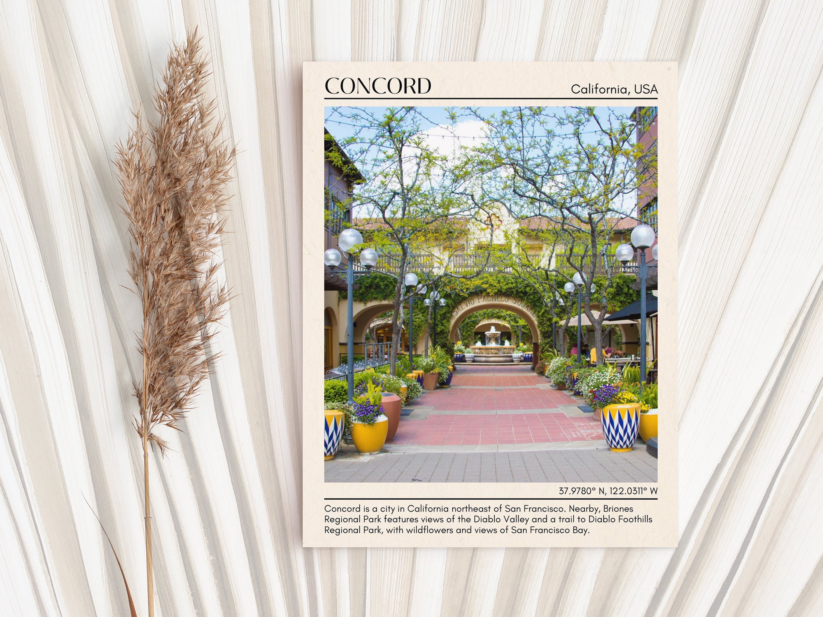 Exploring Concord, California: 5 Must-Do Activities – JOYIE