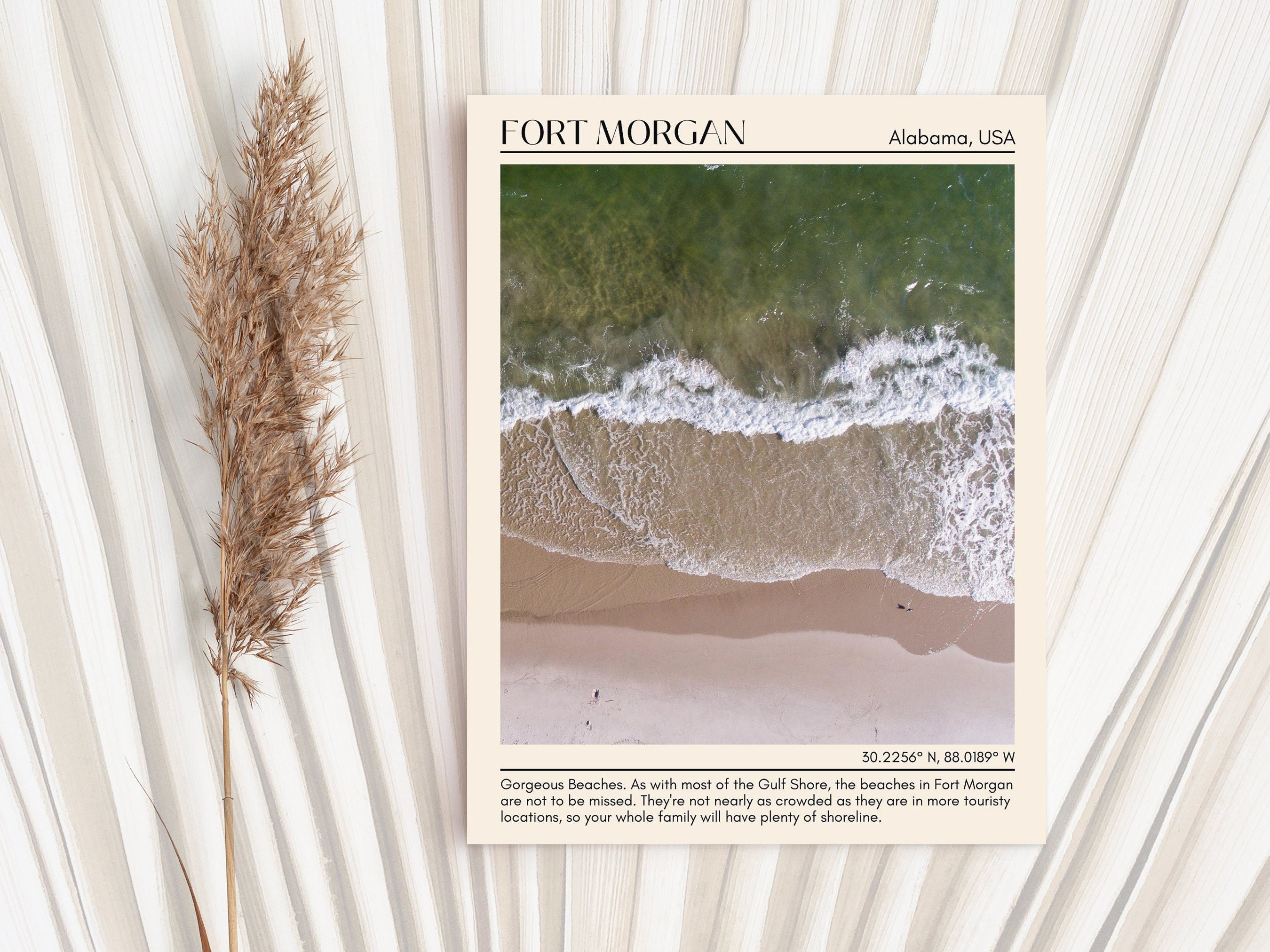 Exploring Fort Morgan, Alabama: 5 Must-Experience Attractions – JOYIE