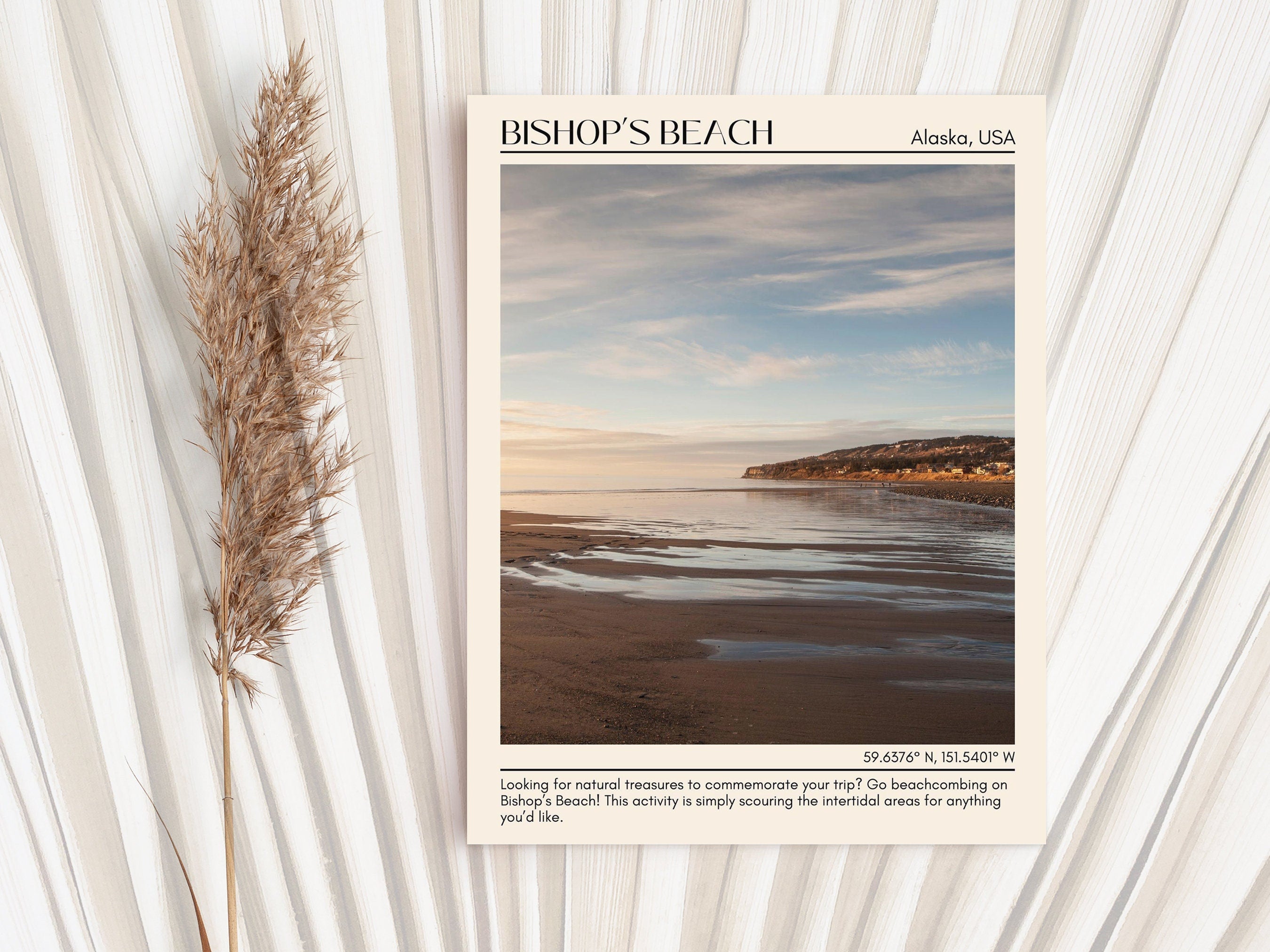Discovering the Beauty of Bishop’s Beach, Alaska: 5 Must-Experience Ac ...